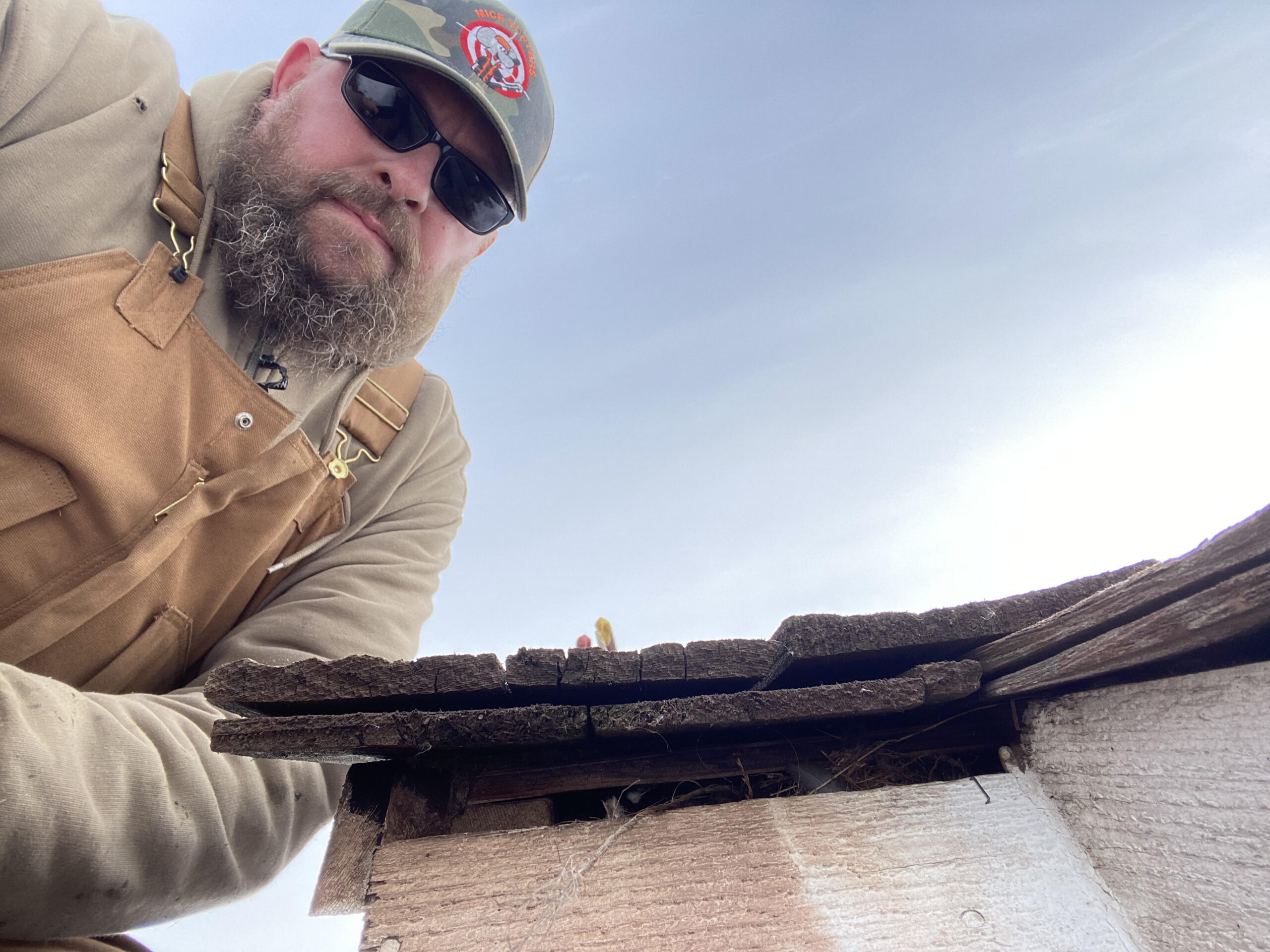 Rodent Proofing the Roof! Are there Bird Feathers in there? - Mice Hunters