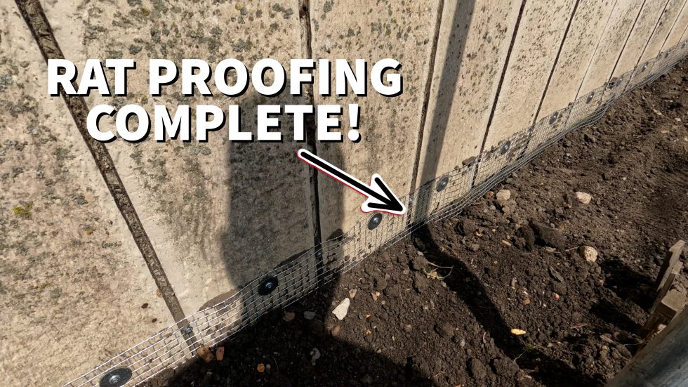 How to RAT PROOF A SHED | How to keep rats out! - Mice Hunters
