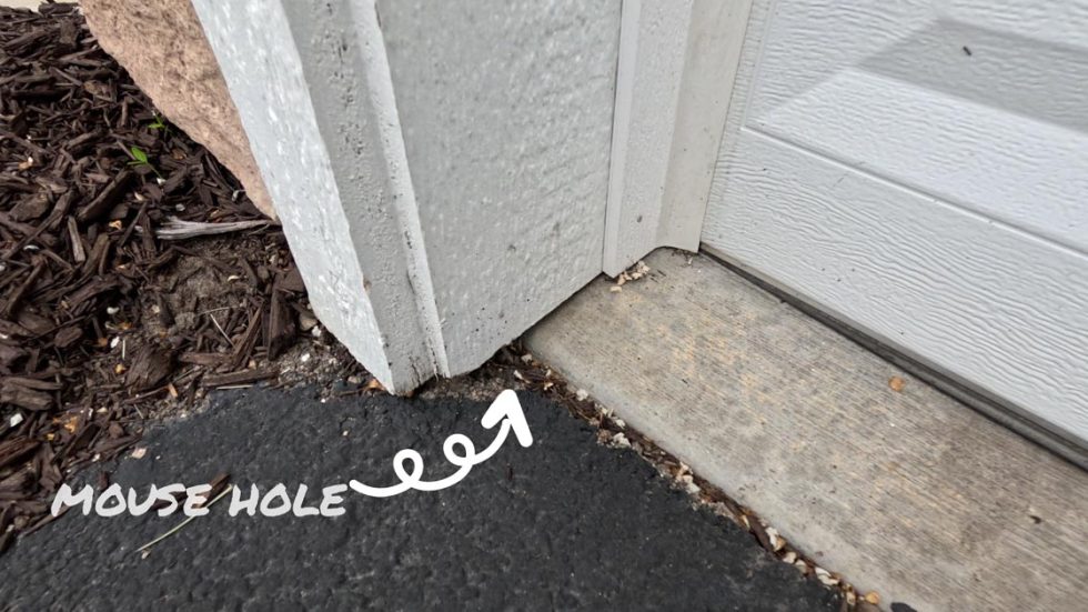 The Ultimate Mouse Proofing Solution | Galvanized Sheet Metal - Mice ...